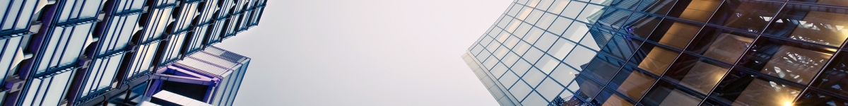 Halyk Group - Halyk Finance